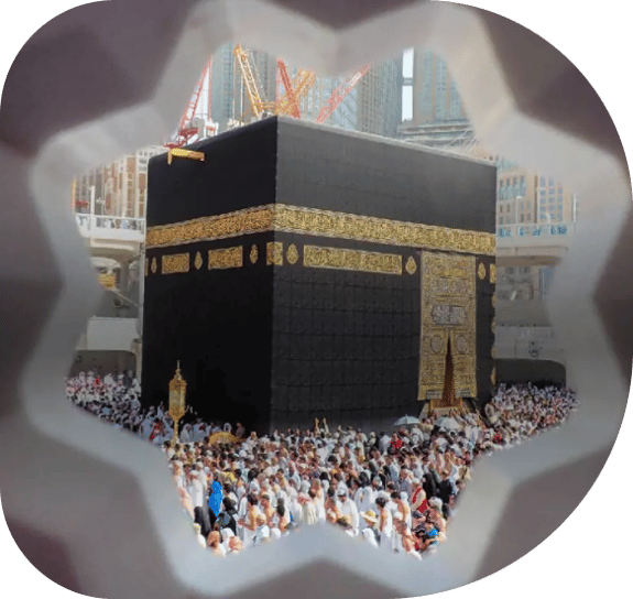 Pisano | Your XM Partner for Pilgrim Experience Program